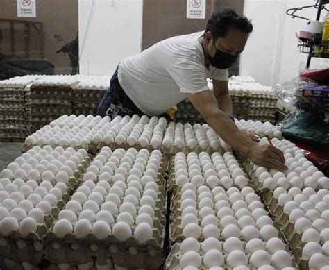 Egg Shortage The Manila Times