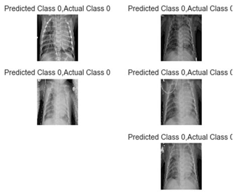 Correct Predition For Multi Layer Perceptron Download Scientific Diagram