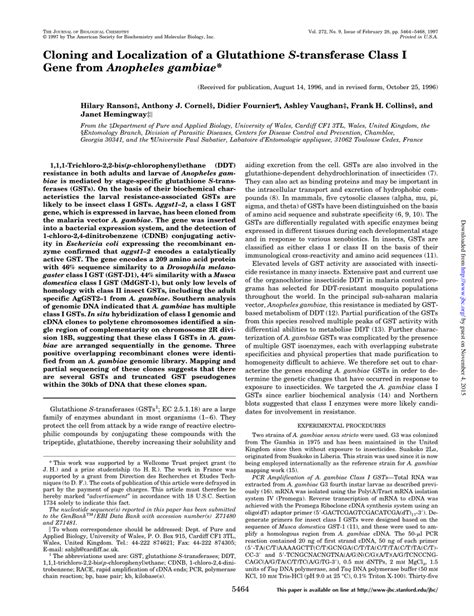 Pdf Cloning And Localization Of A Glutathione S Transferase Class I