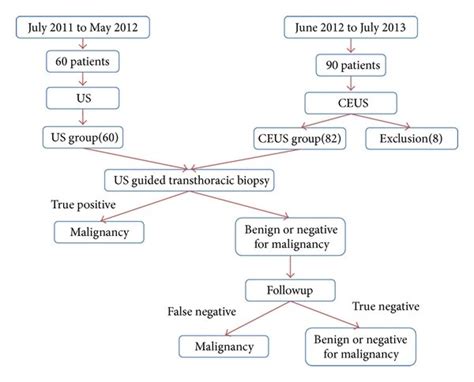 flow chart shows algorithm for diagnosis of lung lesion download