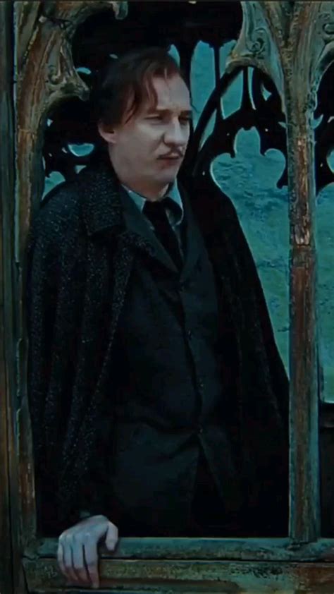 Remadora Harry Potter Fandom Harry Potter Art Harry Potter Films