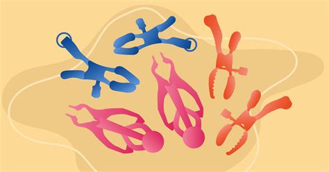 Did You Know That Sex Toys Can Help You Sleep Check The Facts Here