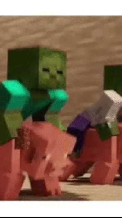 Algorithm Experiment Youtube