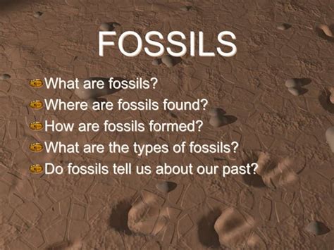 Fossils Powerpoint 1 Ppt