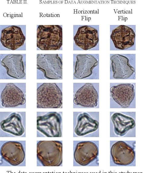Table Ii From A Deep Learning Approach For Classification Of Pollen Grains Using Proposed Cnn