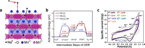 A Schematic Illustration Of The Hydroxylated Mn 5 O 8 Crystal Download Scientific Diagram