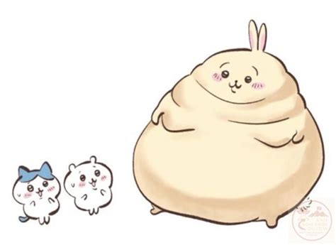 88 Usagi Chiikawa Meme Loạt Meme Thỏ Béo Siêu Cute