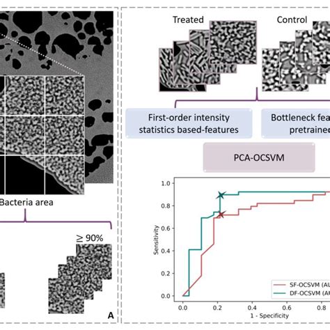 Overview Of The Considered Patch Selection Method And The Utilized