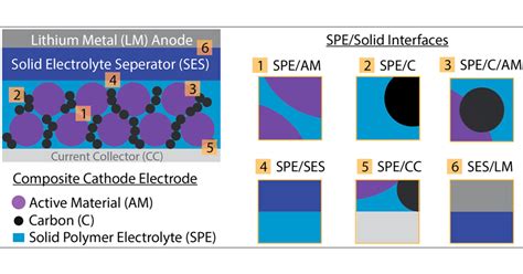 100th Anniversary Of Macromolecular Science Viewpoint Solid Polymer Electrolytes In Cathode