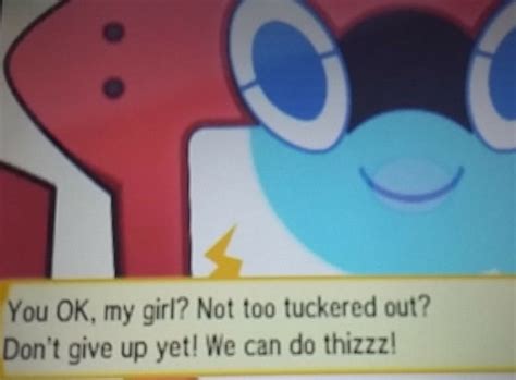 Innuendos Pokémon Amino