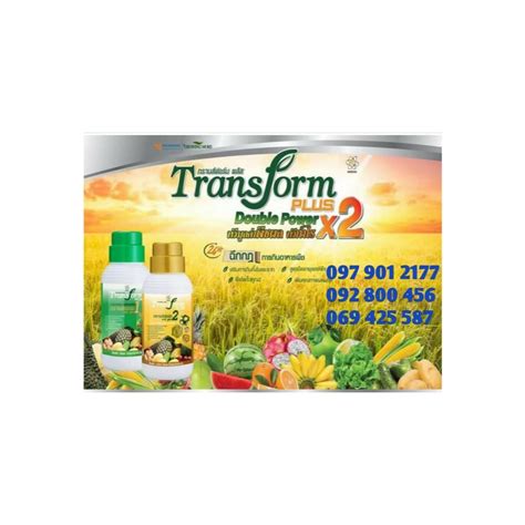 ចែកចាយជីសរីរាង្គធម្មជាតិ Transform Bangkok