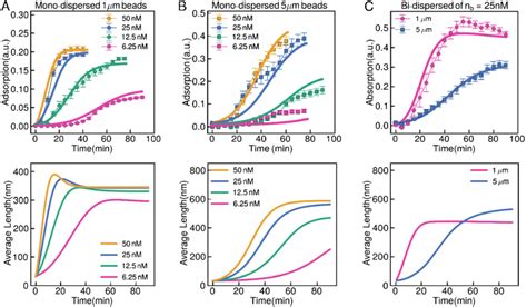 Modeling Predictions Are In Good Agreement With Time Dependent
