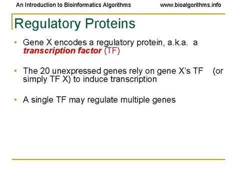 An Introduction To Bioinformatics Algorithms Bioalgorithms Info