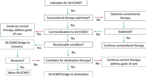Cardiac Support Critical Care Clinics