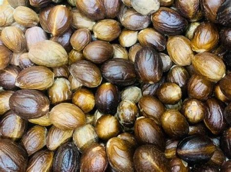 Whole Nutmeg Shell At Rs 560 Kg Indian Spices In Hyderabad Id 2853986442191