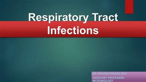 Upper Respiratory Infection Uri Cheat Sheet Docx