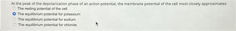 Solved At The Peak Of The Depolarization Phase Of An Action