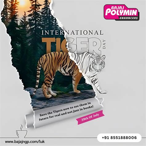 Bajaj Polymin Enhancers On Linkedin Internationaltigerday Tigerday