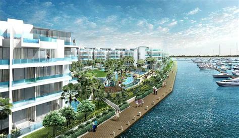 Marina Collection Transactions Market Insights And Trends