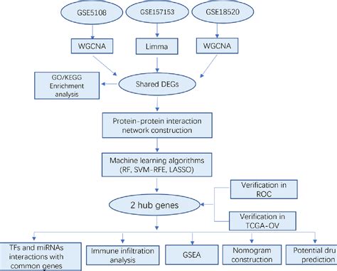 Figure 1 From Identi Cation And Validation Of Shared Genes And Key