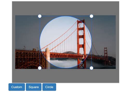 Selection And Cropping In Aspnet Core Imageeditor Control Syncfusion