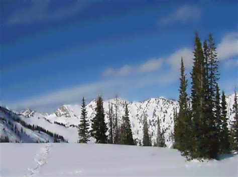 Reconstruction Of A Coarsely Quantized Image A Distorted Q 16 Image Download Scientific