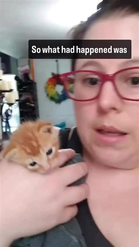 Cat Distribution System Works In Mysterious Ways Album On Imgur