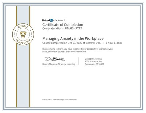 Umar Hayat On Linkedin Certificate Of Completion