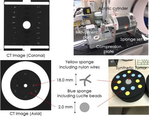 Overview And Deformable Thorax Phantom Download Scientific Diagram