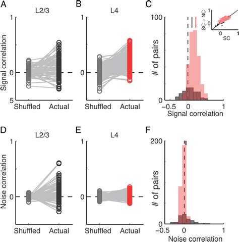 Signal And Noise Correlations Between Neurons In L23 And L4 Are Not