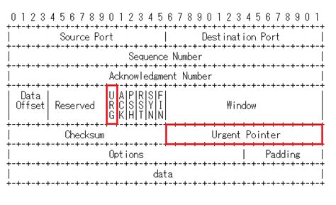 Tcpヘッダのフラグ一覧 Genspark