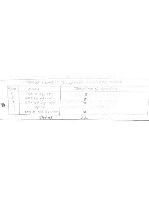 Practical Observation Table Pdf