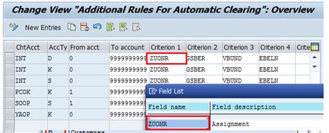 Sap Clearing Of Open Items Free Sap Online Training Tutorial