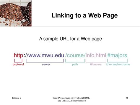 Developing A Basic Web Site Ppt Download