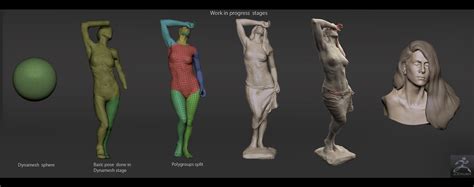 Female Anatomy Study Zbrushcentral