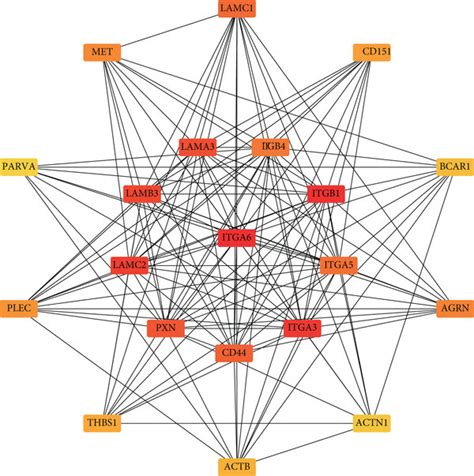 A Go Enrichment Analysis Of Coexpressed Genes In Bp We Can See