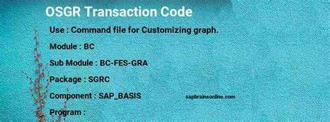Osgr Sap Tcode For Command File For Customizing Graph