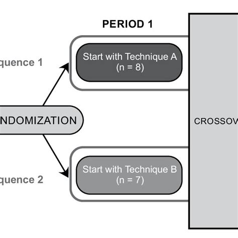 A Detailed Randomization Procedure Is Shown Download Scientific Diagram