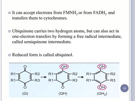 Biological Oxidation And Etc Pptx