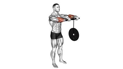 9 Effective Scapular Retraction Exercises For Improved Shoulder