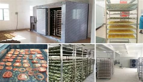 Fruit Drying Technology Introduction Ibc Machine