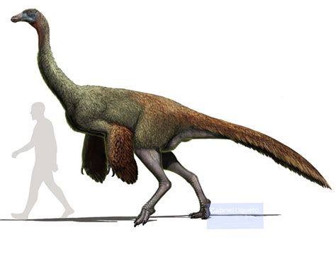 Gallimimus Size