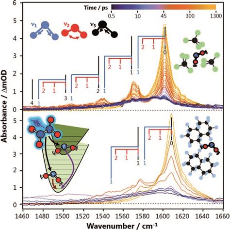 Transient Vibrational Absorption Spectra Of The Antisymmetric Stretch
