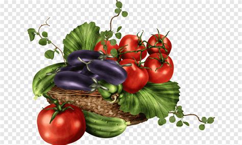 Овощи для презентации на прозрачном фоне 88 фото