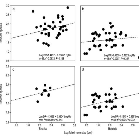 relationship between maximum body size ms and the depth range dr