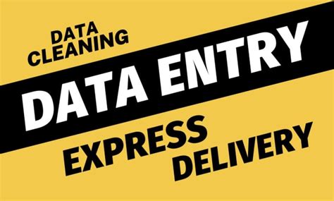 Transform Your Data Into Useful Information By Shriloya Fiverr
