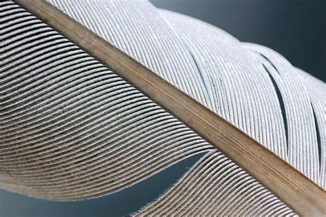 Soundstage Enhancement Through The Art Of Audio Equalization