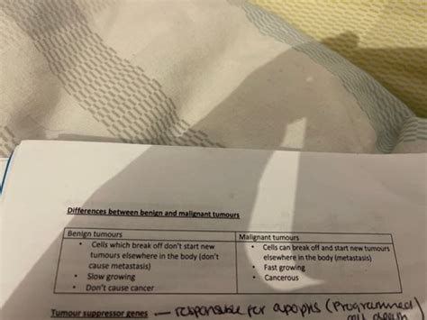 Gene Expression Flashcards Quizlet