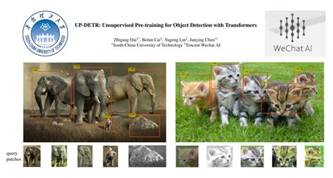 Objection Detection Transformer Synced