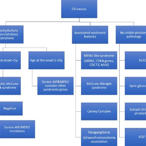 Suggested Algorithm Of Genetic Screening Of Gh Excess Gh Growth